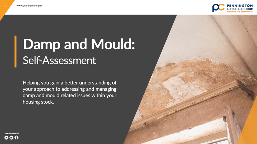 Damp and Mould in Social Housing: Everything you need to know