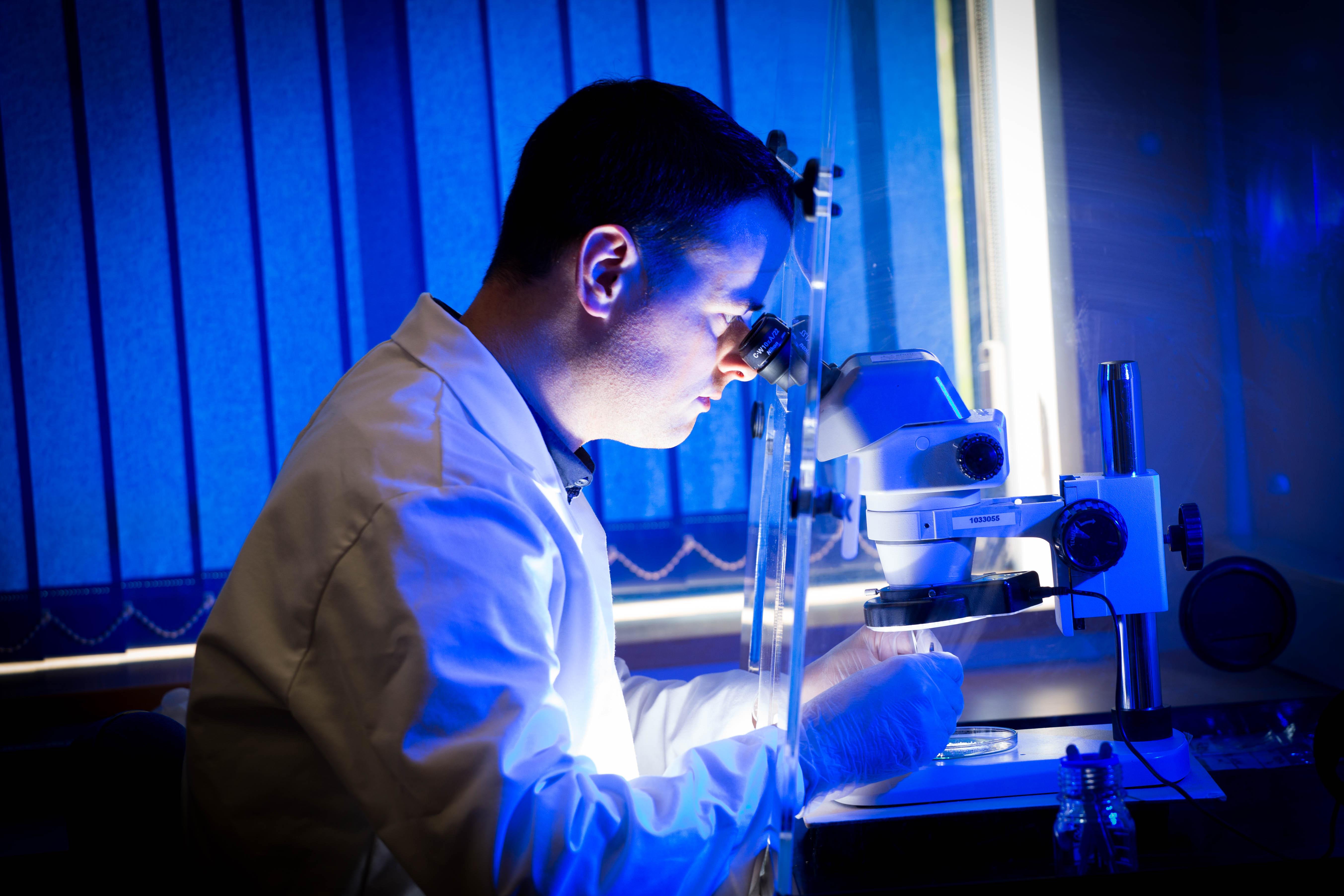 Asbestos Testing Laboratory